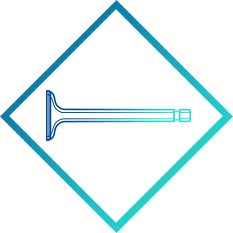 Hollow/sodium-filled Valves - Scarpa & Colombo